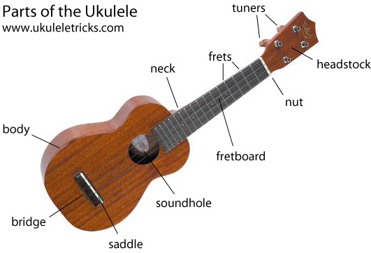 Why a Ukulele is Better than a Gun | Aging Capriciously